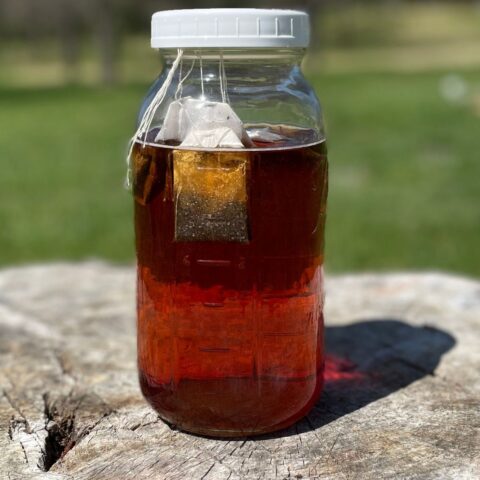 How to Make Sun Tea in the Sun - Daily Tea Time