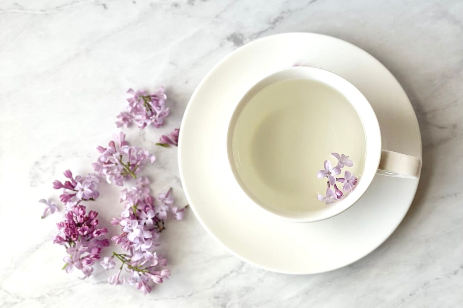 How to Make Lilac Tea - Daily Tea Time