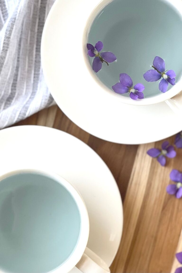 Wild Violet Tea Recipe - Daily Tea Time