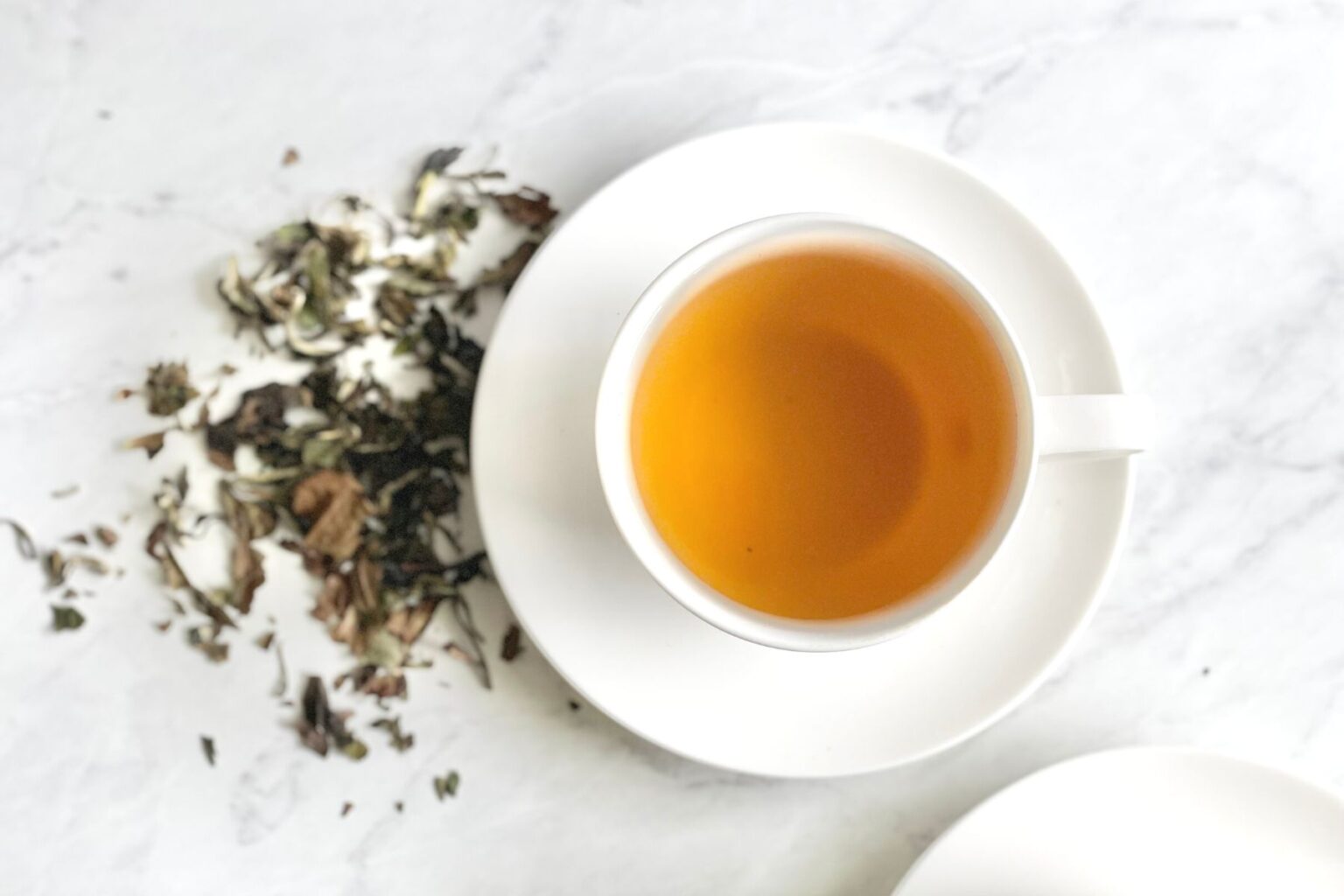 Enjoying all Types of White Tea Varieties - Daily Tea Time