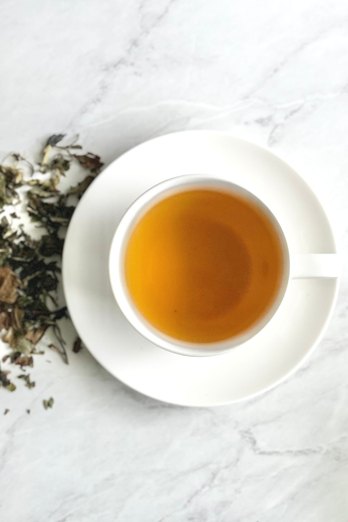 Enjoying all Types of White Tea Varieties - Daily Tea Time