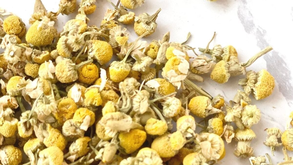 Iced Chamomile Tea Recipe - Daily Tea Time