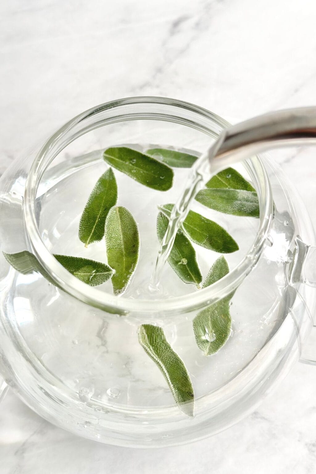 How to Make Sage Tea (easy herbal tea recipe) - Daily Tea Time