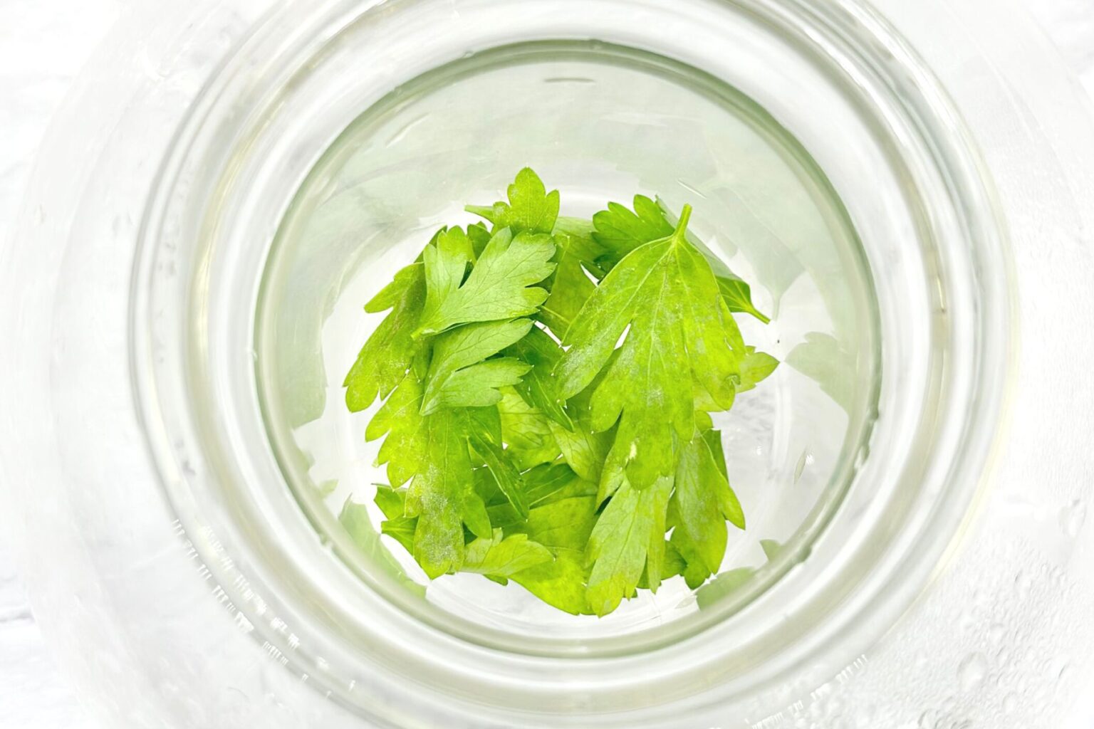 How to Make Parsley Tea (hot or iced) - Daily Tea Time