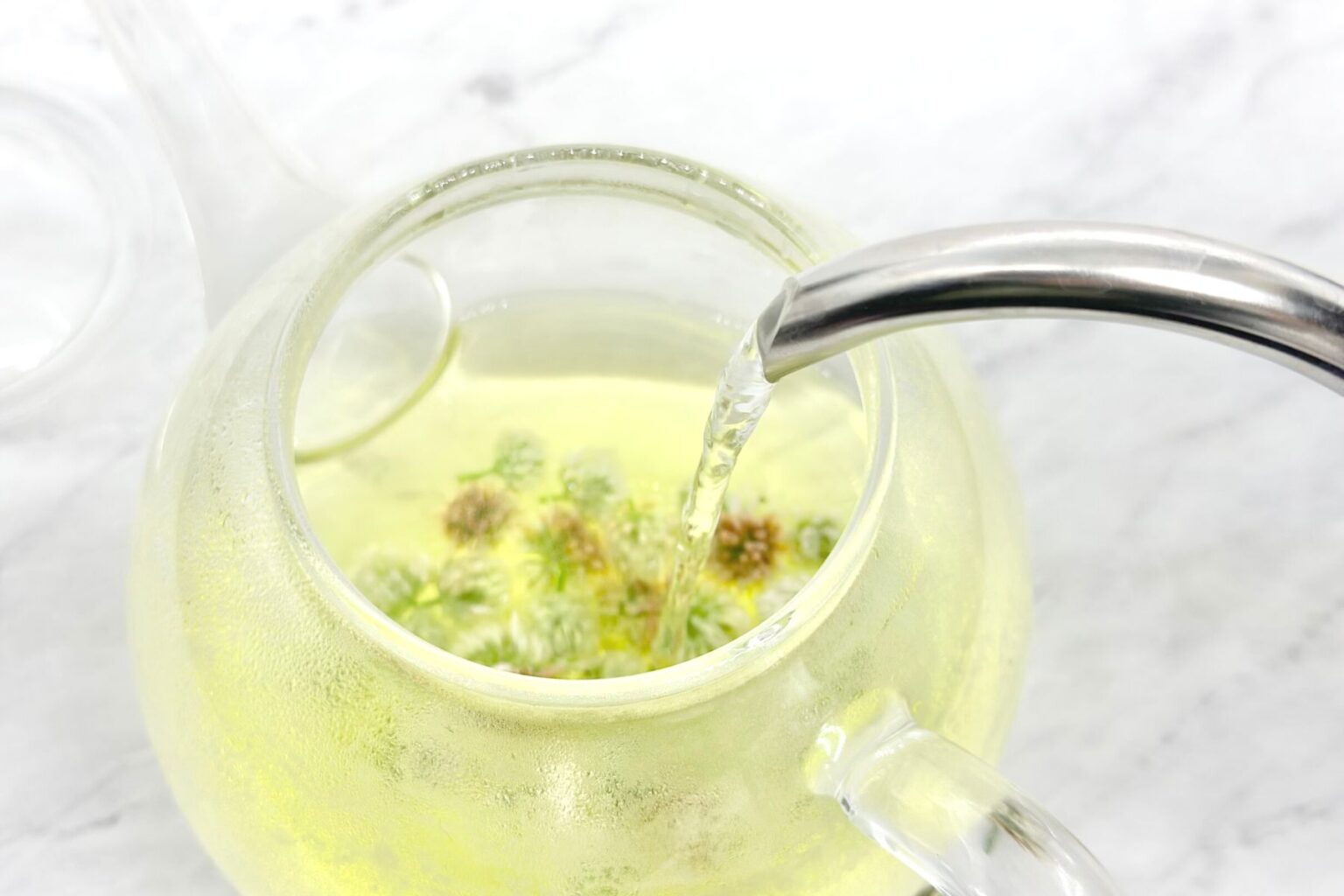How to Make White Clover Tea (Hot or Iced) - Daily Tea Time