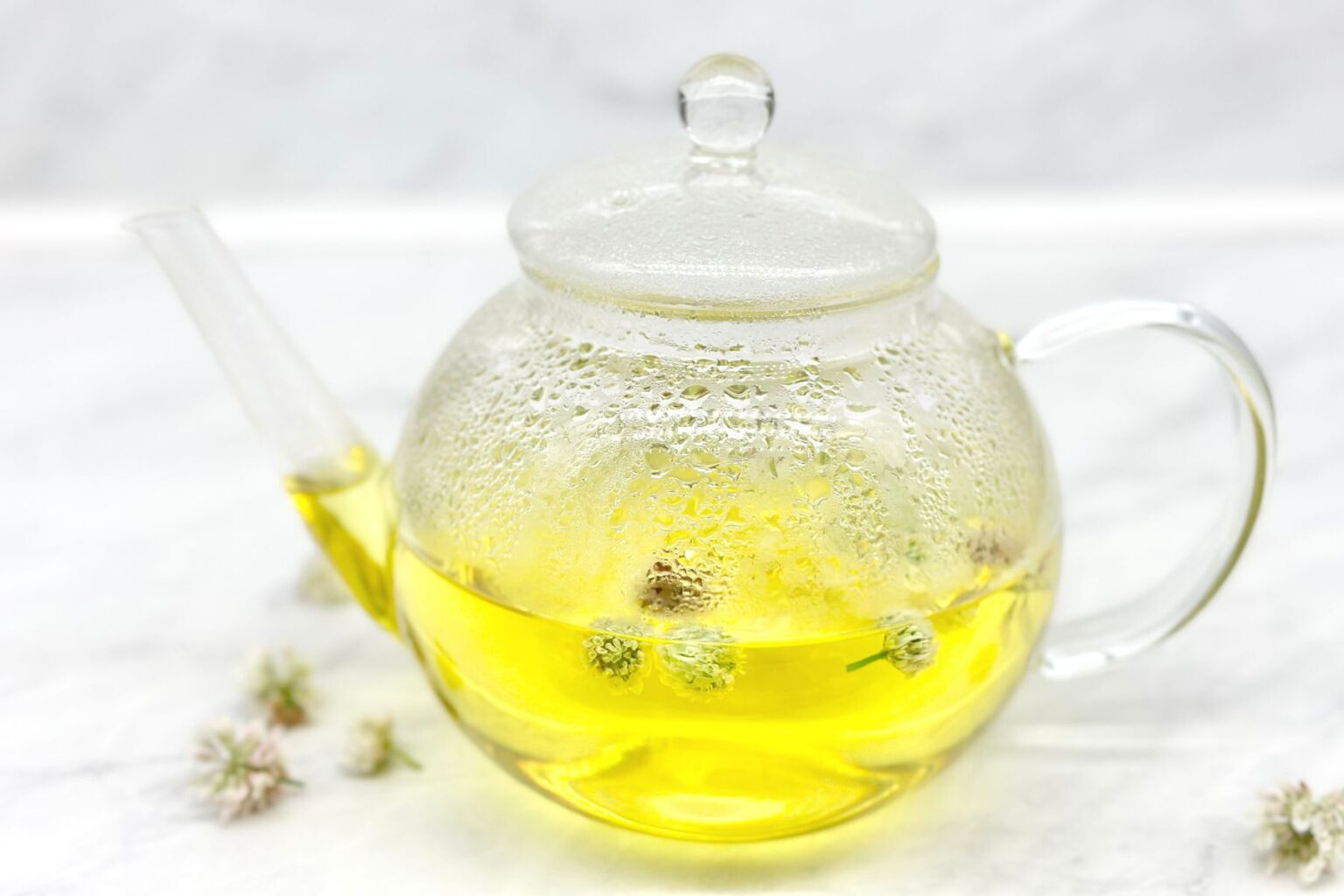 How to Make White Clover Tea (Hot or Iced) - Daily Tea Time