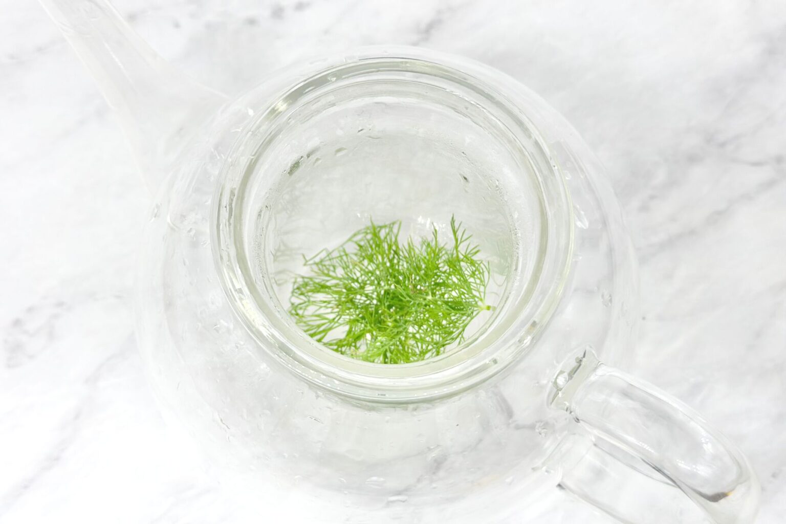 How to Make Dill Tea - Daily Tea Time