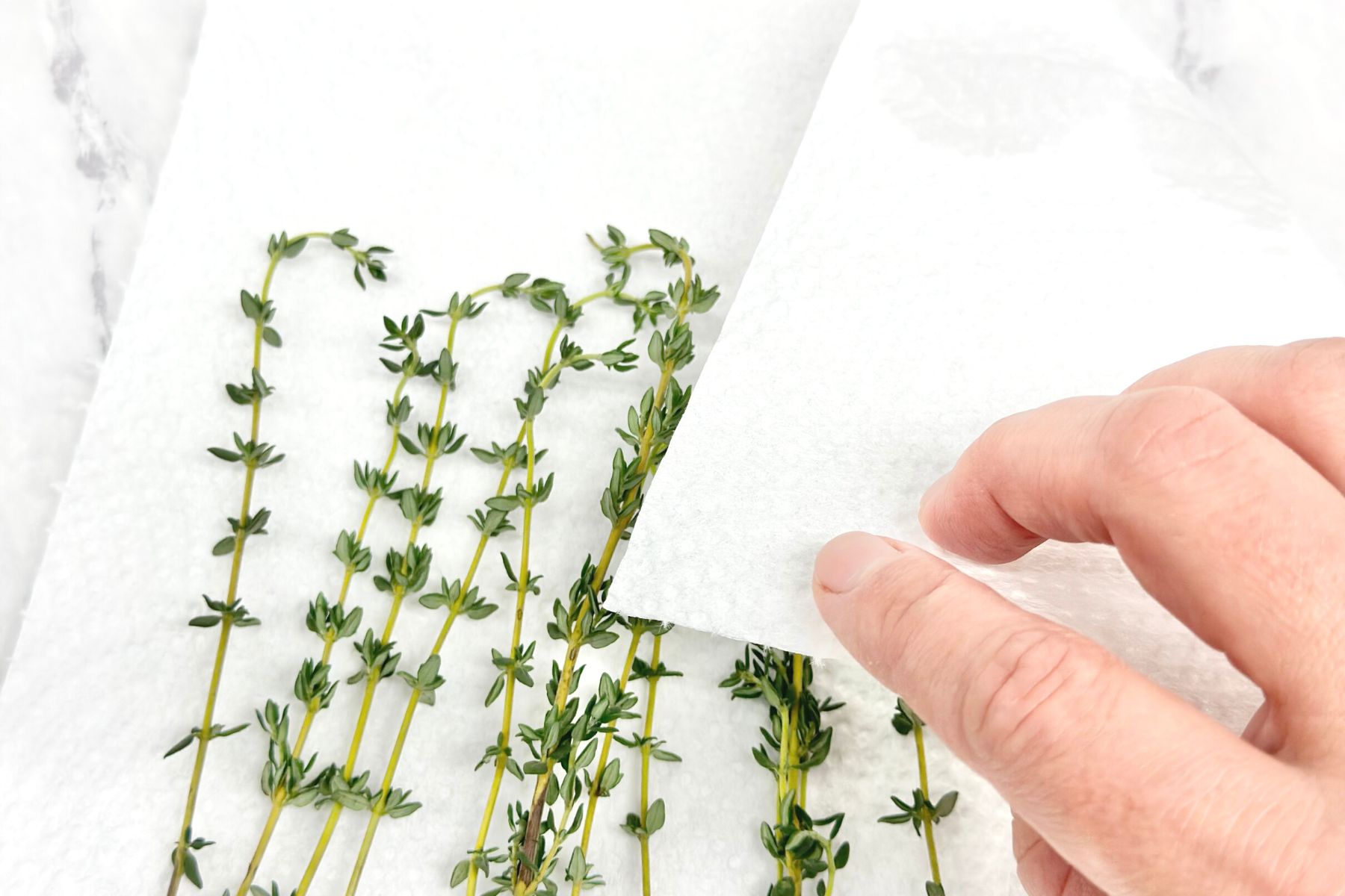 How to Make Fresh Thyme Tea (easy recipe) - Daily Tea Time