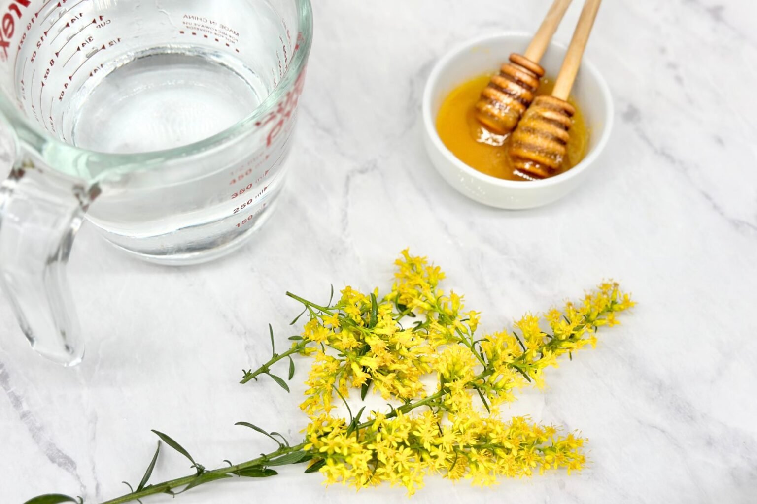 Homemade Goldenrod Tea Recipe (hot or iced) - Daily Tea Time